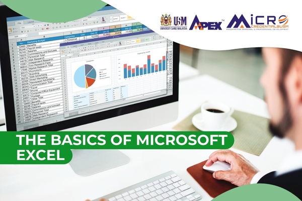 The basics of Microsoft Word | Learning for Life