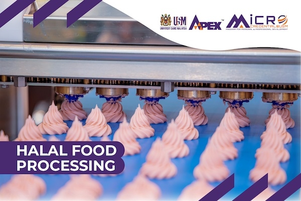 Halal Food: Islamic Preparation Guide | Learning for Life