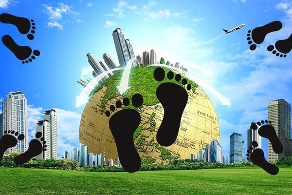 Think Plus Academy - Centre of Excellence for Sustainability Courses ...