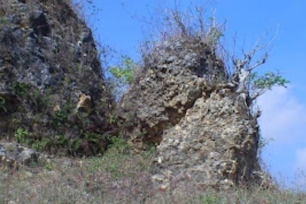 S1 T. Geologi GEN 2231 - Petrologi Batuan Beku dan Metamorf ...