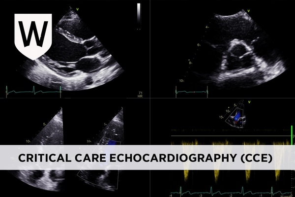 Western Sydney University - Western Sydney University