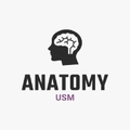 ANATOMY MADE EASY: ENDOCRINE SYSTEM | USM MOOC